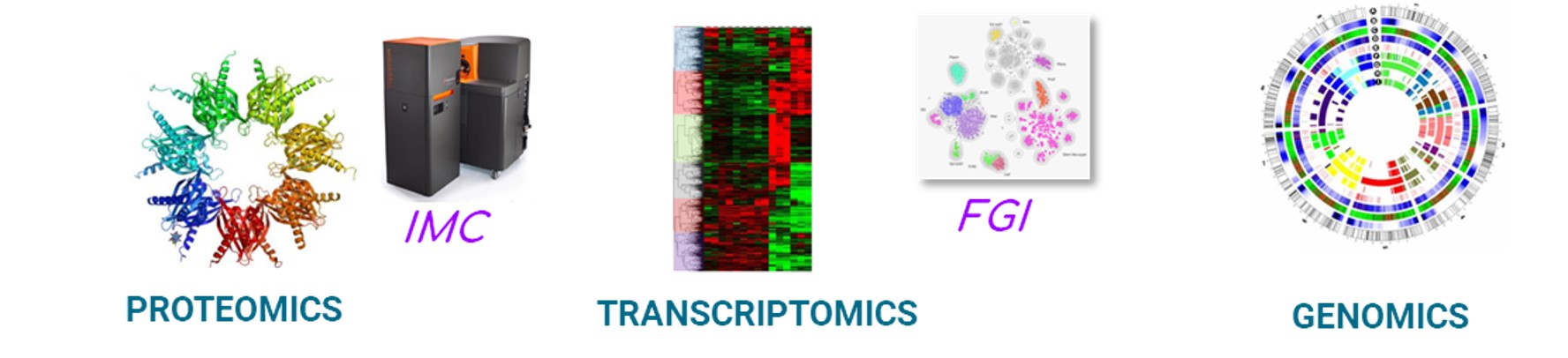 Robust OMICS Transcription Studies | DNA Sequencing & Analysis | LIDE Biotech